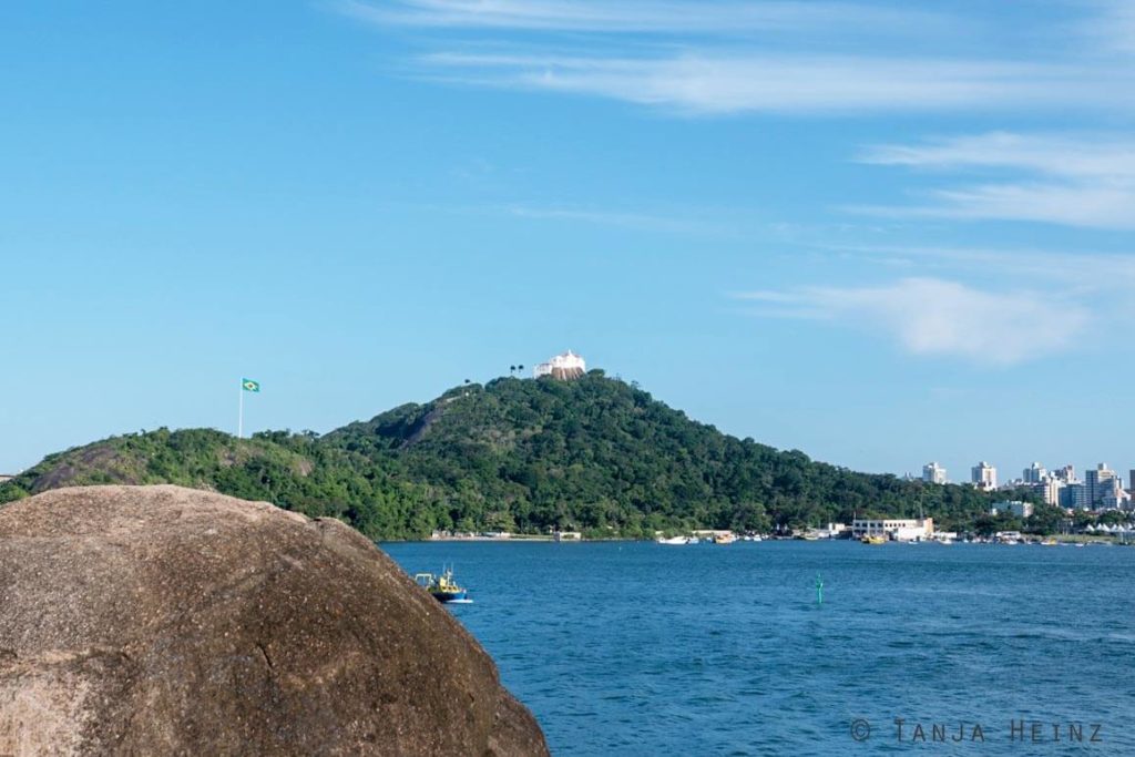 Little monkeys on the Morro da Penha in Brazil